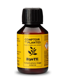 Congestion de la mamelle